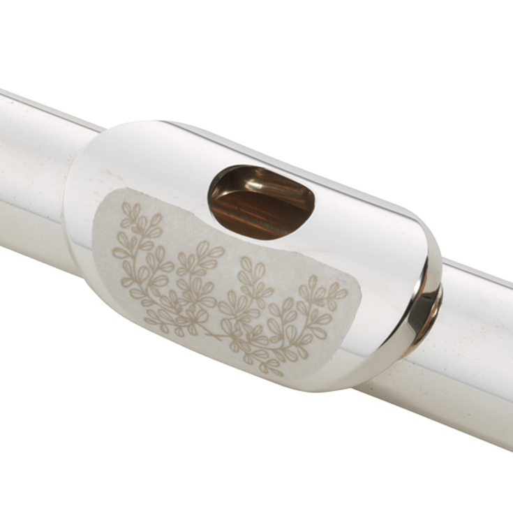 Lip Plate Patch - Overview - Accessories - Products - Brass & Woodwinds ...